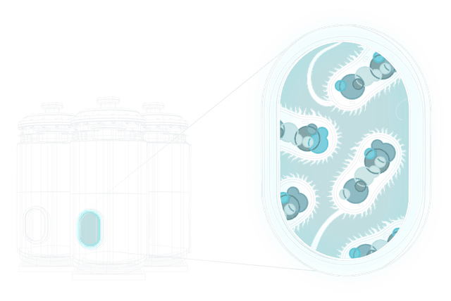 BioHalo - The Biohalogenation Company