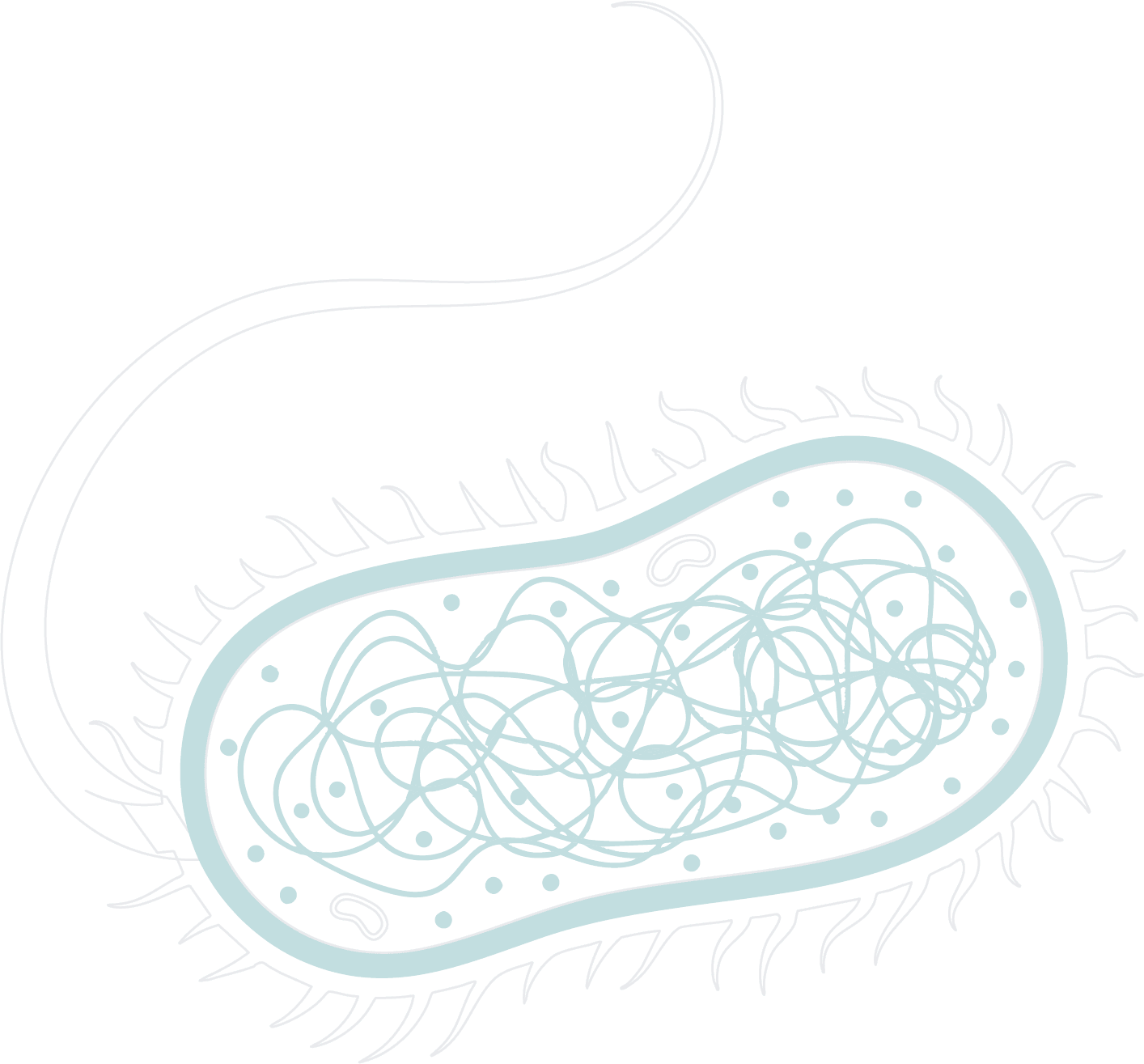 BioHalo - The Biohalogenation Company