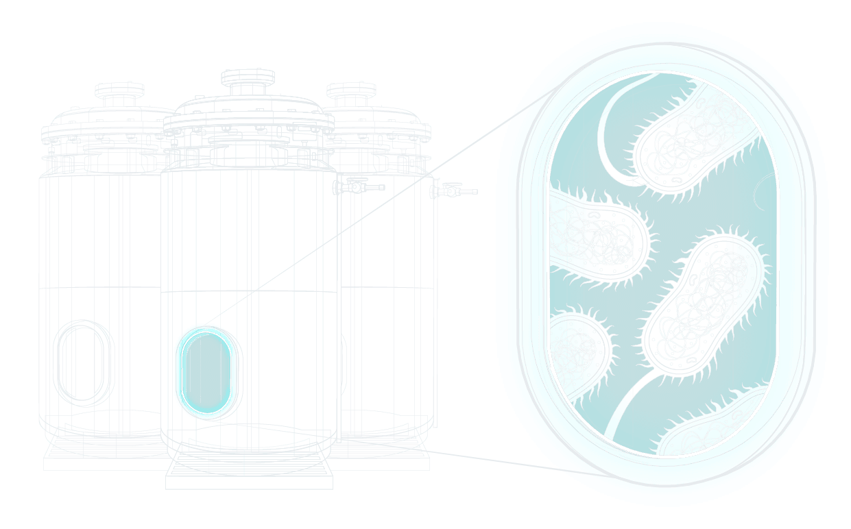 BioHalo - The Biohalogenation Company
