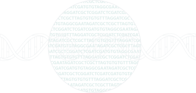 BioHalo - The Biohalogenation Company